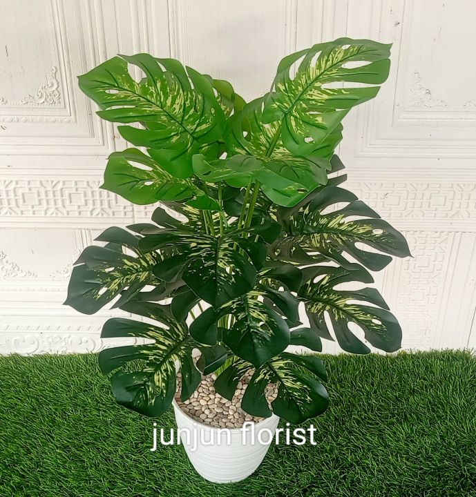 tanaman hias monstera hijau artificial lengkap dengan pot | Lazada ...