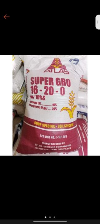 Atlas 16-20 Fertilizer 1kg. | Lazada PH