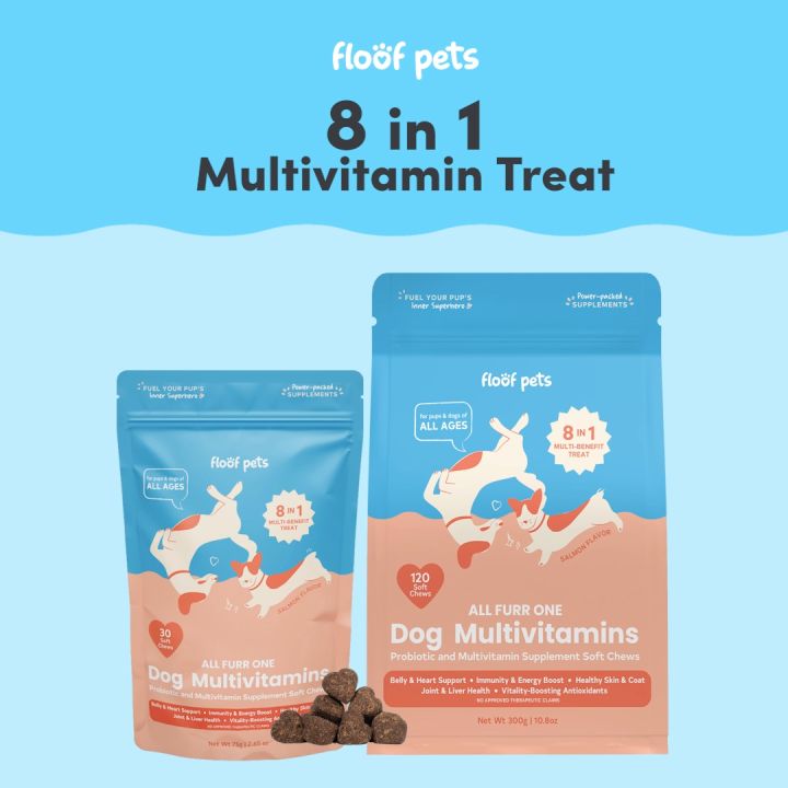 Floof Pets 8 in 1 Dog Multivitamin Treat 300g with Probiotics (Healthy ...