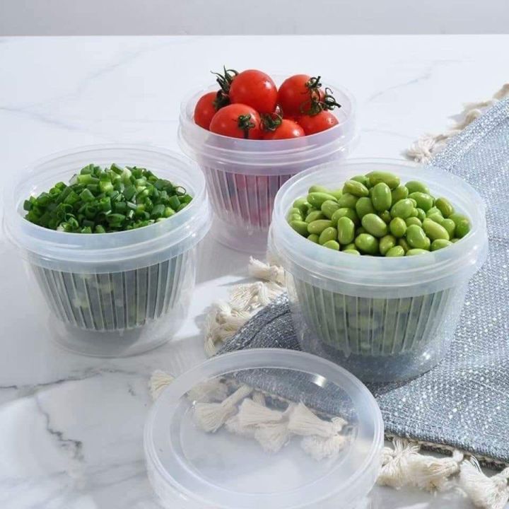Green Onion/Chili Ref Container | Lazada