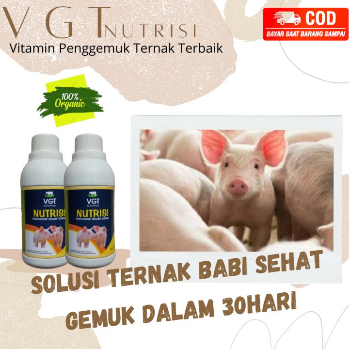 VGT Nutrisi Ternak Babi. | Lazada Indonesia