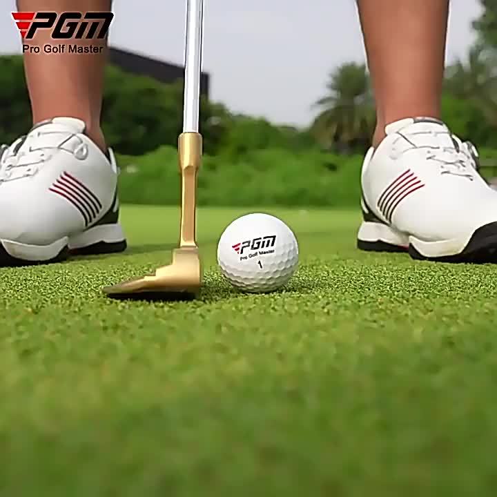 PGM Golf Club Putter 304 Soft Iron Forged Semicircle Rod Head Single ...