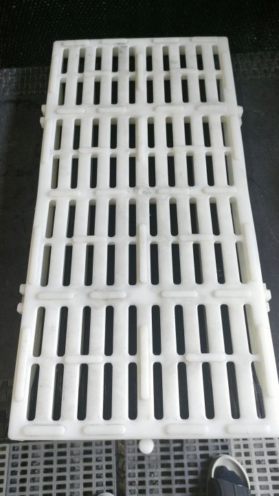 1x2 saw matting, 1x2 plastic matting hdpe, pang inahing baboy | Lazada PH