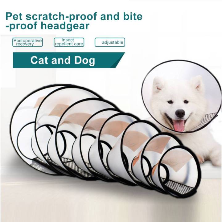 Sentexin Pet Anti-bite Collar Cat Dog Wound Healing Neck Protection ...