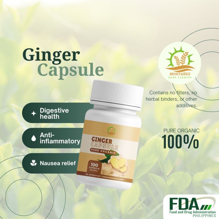 Authentic Ginger Capsule 500mg/100 Capsules | Lazada PH