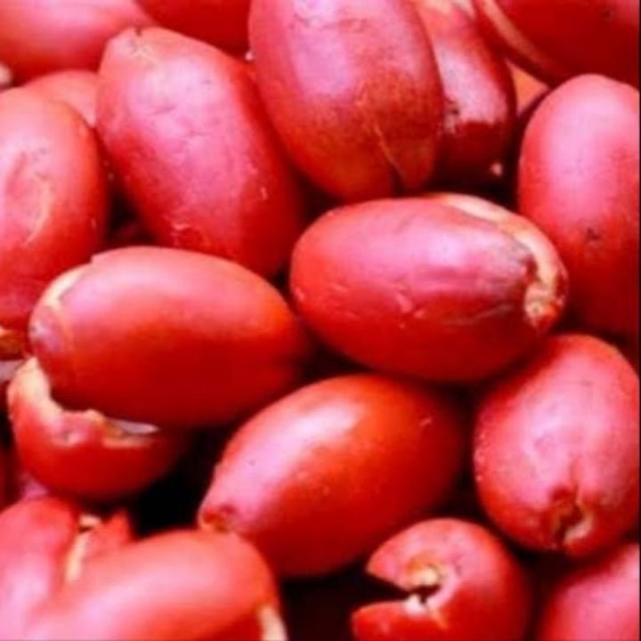 kulit melinjo/kulit tangkil merah merona segar 1kg | Lazada Indonesia