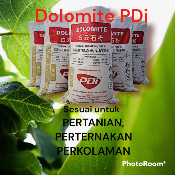DOLOMITE PDI 10KG REPACK | Lazada