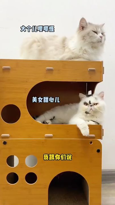 46cm Cat Wooden House Tahan Lama Wood Box Lego Cat House Wooden House ...