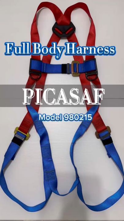 PICASAF SAFETY Full Body Harness & Double Lanyard with Shock Absorb | SIRIM & DOSH | Lazada