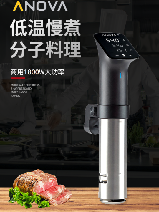 ANOVA pro AN600 Low Temperature Slow Cooker Steak Molecular Cooking ...