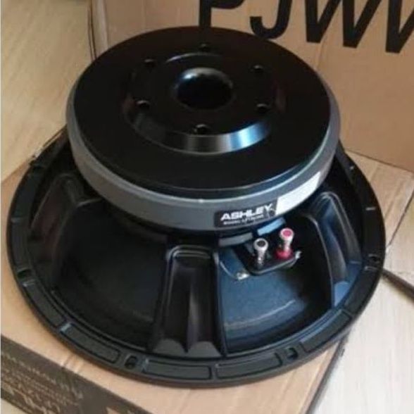 SPEAKER ASHLEY LF12V300 LF 12V300 SPIKER KOMPONEN ASHLEY 13 INCH ...