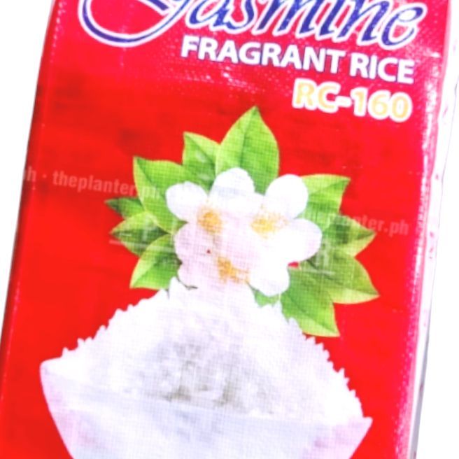 Experience the taste and health benefits of Pangasinan white Rice ...