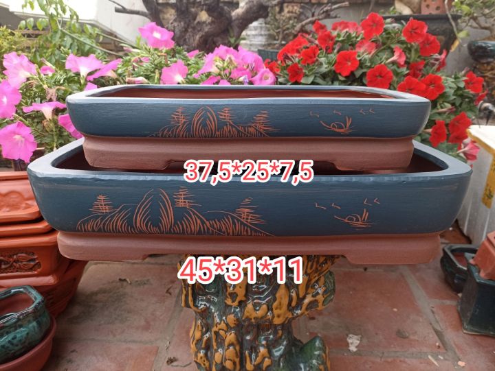 ang, chậu chữ nhật bonsai mẫu Tàu | Lazada.vn