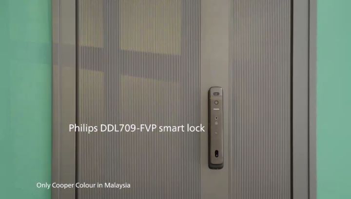 Philips Easykey DDL709-FVP-7HWS smart push-pull door lock Copper(FACE RECOGNITION) Fingerprint ...
