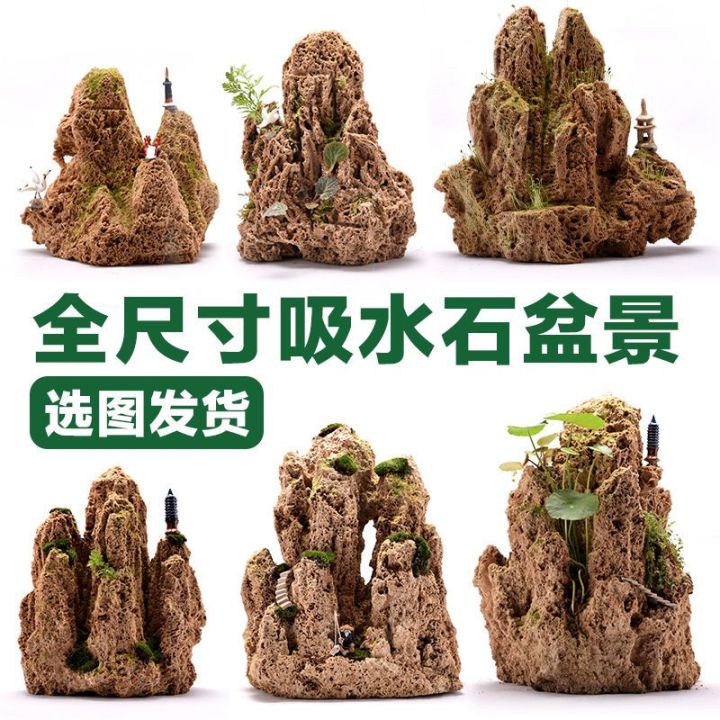 Small Stone Micro Landscape Water Absorption Rough Stone Natural Bonsai ...