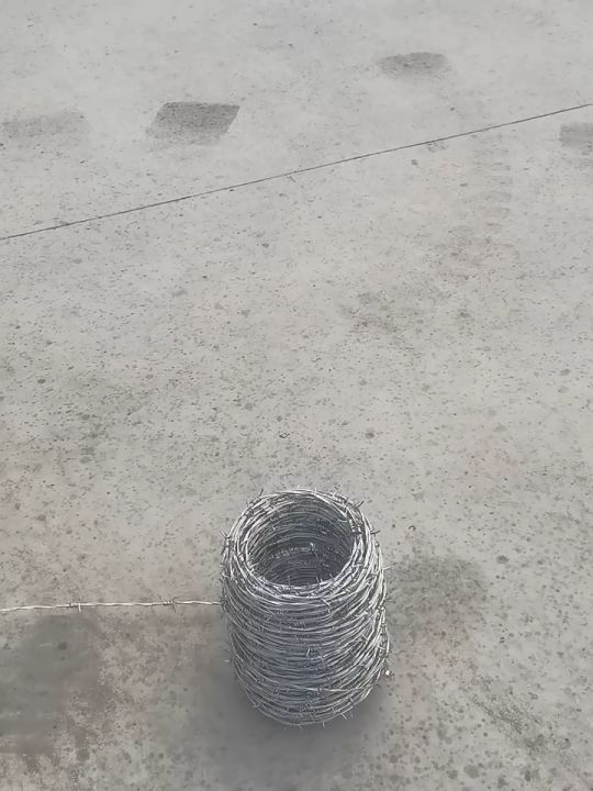 [cash commodity] Steel Barbed Fence anti-climb steel sharp razor ...