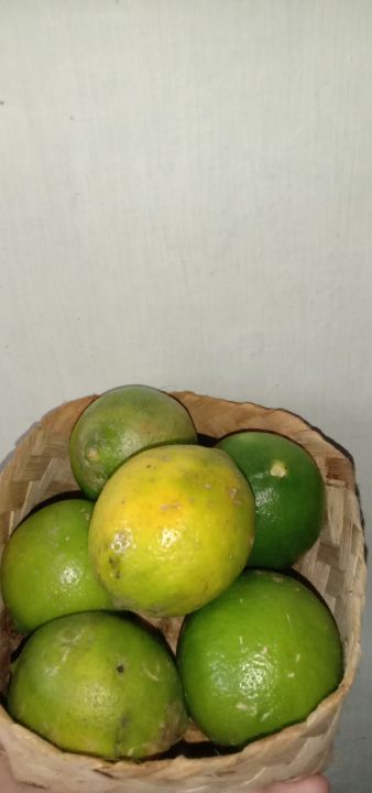 Jeruk Nipis / Lemon Lokal Isi 500gr | Lazada Indonesia