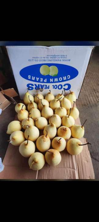 Pear yalie 1kg | Lazada Indonesia