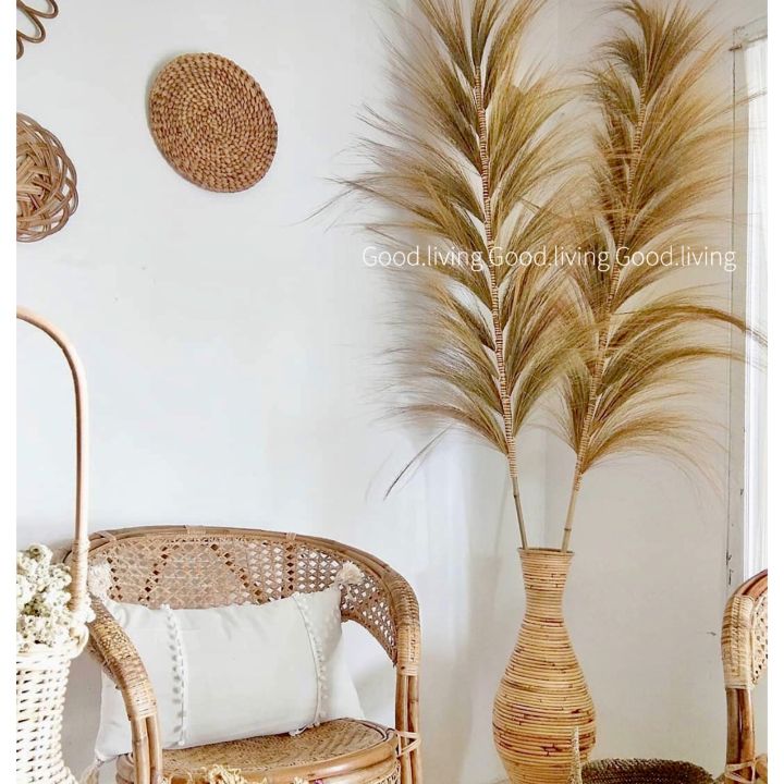 Rayung/bunga rayung/rayung stik/bunga kering/pampas/bunga pampas ...