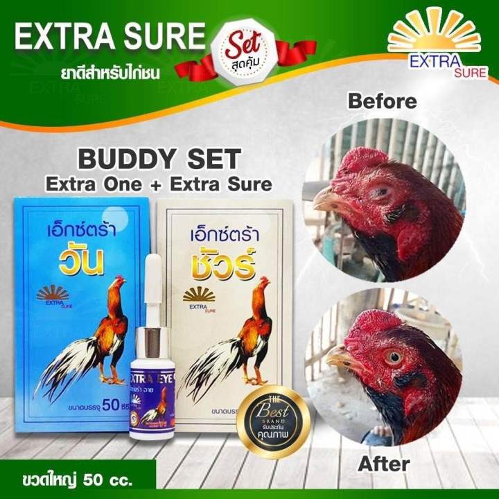 Buddy Set 📍แถมฟรียาหยอดตา | Lazada.co.th