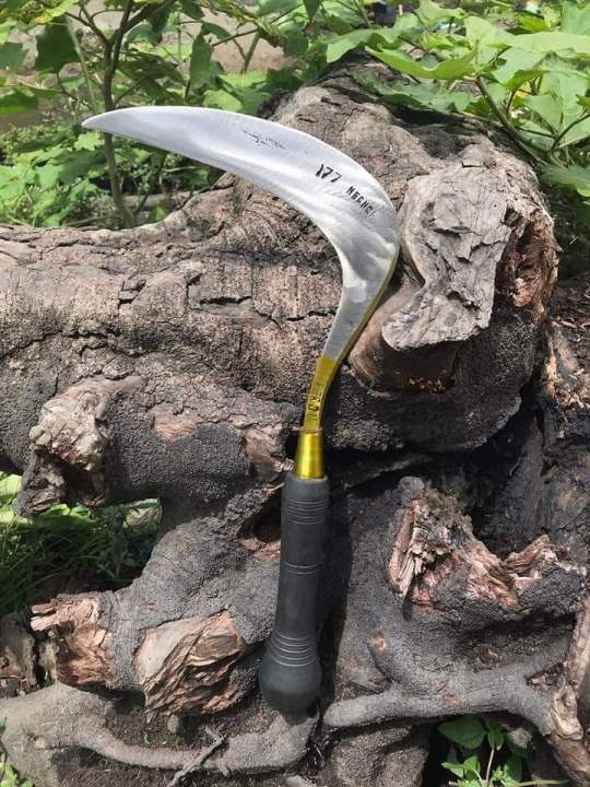 ARIT RUMPUT BERKUALITAS SUPER TAJAM TANPA ASAH (BAHAN BAJA PIR ASLI ...