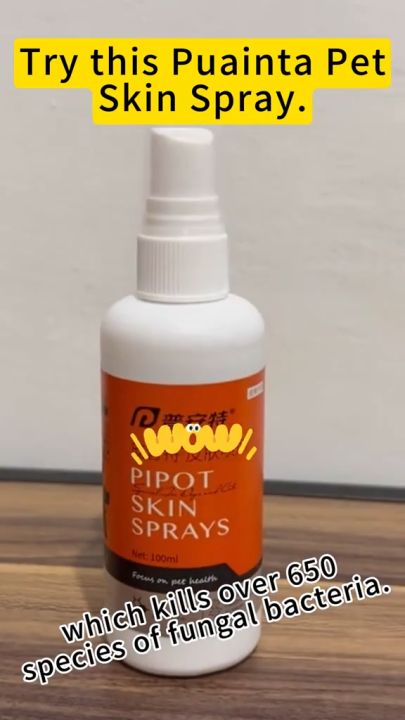 [Pengiriman cepat]PUAINTA 50/100/150/200ml Pipot Obat Jamur Spray ...