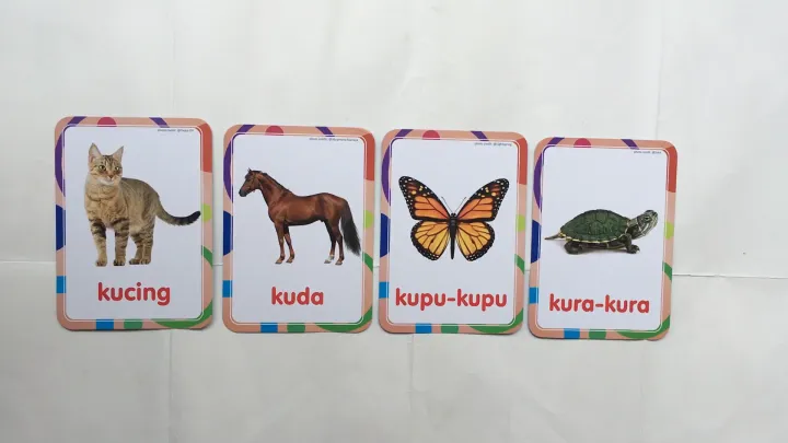 Flashcard for Golden Age Kartu Balita Mengenal Binatang | Lazada Indonesia