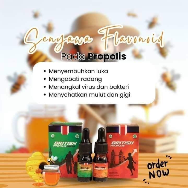 BRITISH PROPOLIS 100% ORIGINAL | Lazada Indonesia