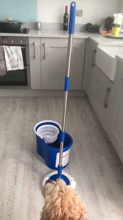 HOME DECOR I Spin Mop With Spinner and Bucket Magic Tornado Mop 360 ...