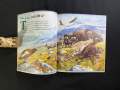 What on Earth? Life in the Tundra By Penny Clarke : Encyclopedia book ...