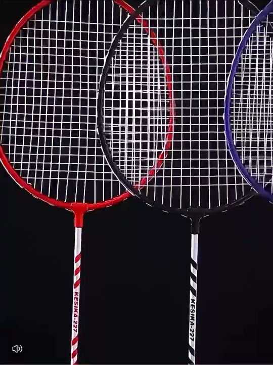 Badminton Set 2pcs Alloy Badminton Racket Original for Adult Fitness ...