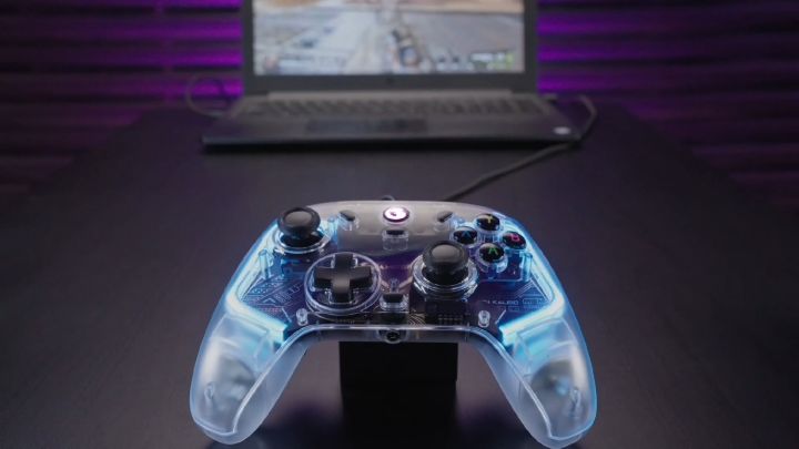 GameSir T4 Kaleid Wired Gamepad with Hall Effect for Nintendo PC Steam ...