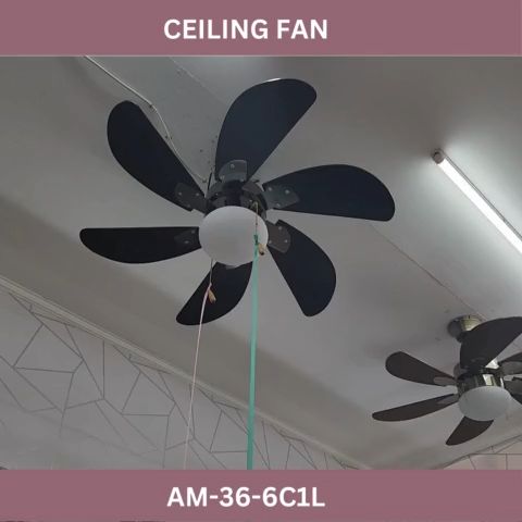 American Star 36 Inches Ceiling Fan -REMOTE OPTIONAL Style & Function ...