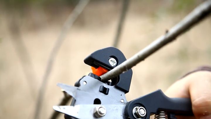 Grafting Pruner Garden Grafting Tool Professional Branch Cutter ...