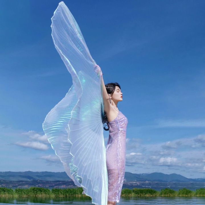 Adult Belly Dance Golden Wing Props Children's Golden Wing Performance ...