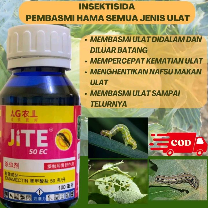 Insektisida Jite Mengatasi Ulat Grayak | Lazada Indonesia
