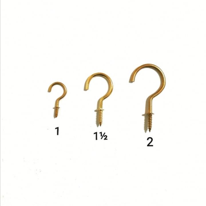 Screw Type Hook (1pc.) | Lazada PH