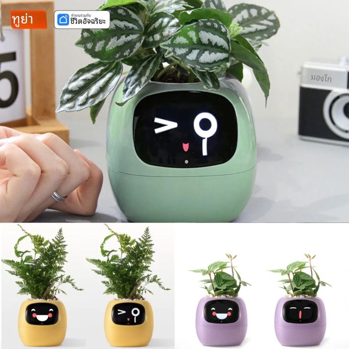 Tuya Ivy Smart Planter,ความสนุกไม่รู้จบกว่า 49 Expression ที่หลากหลาย ...