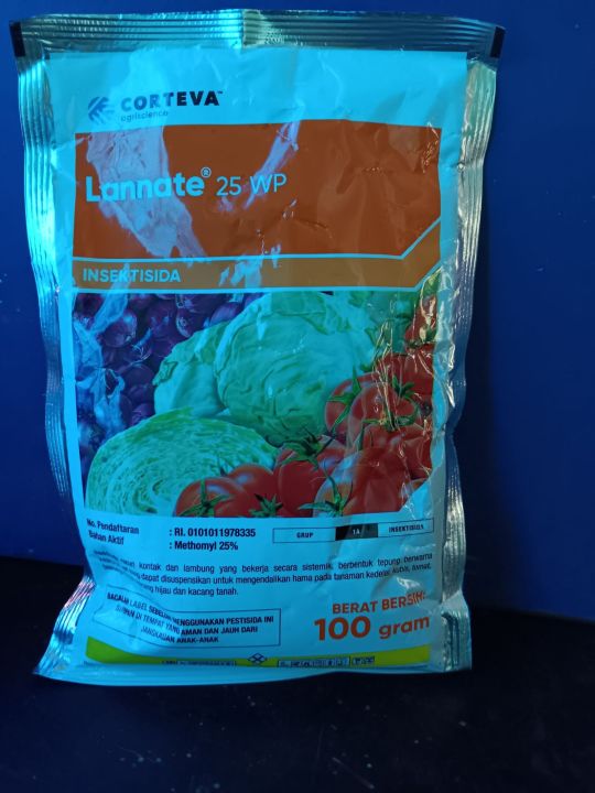 Insektisida Lannate 25 wp 100 gram | Lazada Indonesia
