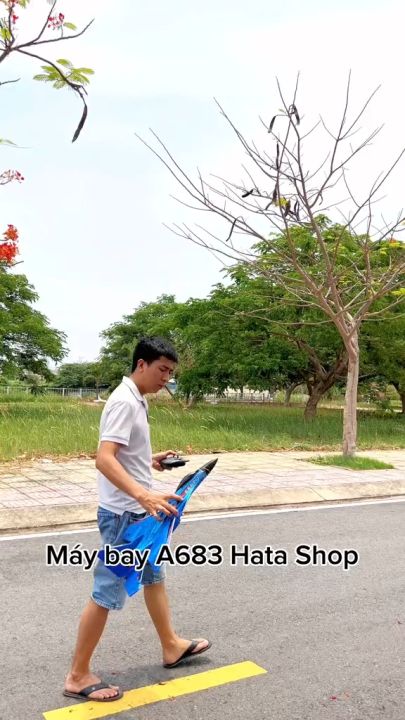 Máy Bay Điều Khiển Từ Xa A683 Pro Bản 2 Pin Sạc Bay Xa 800m Size Lớn ...