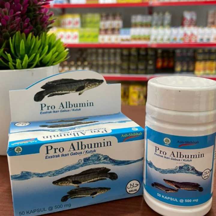 PROMO 1 BOTOL PRO ALBUMIN 60 Kapsul Ekstrak Ikan Gabus /Ikan Kutuk Pro ...