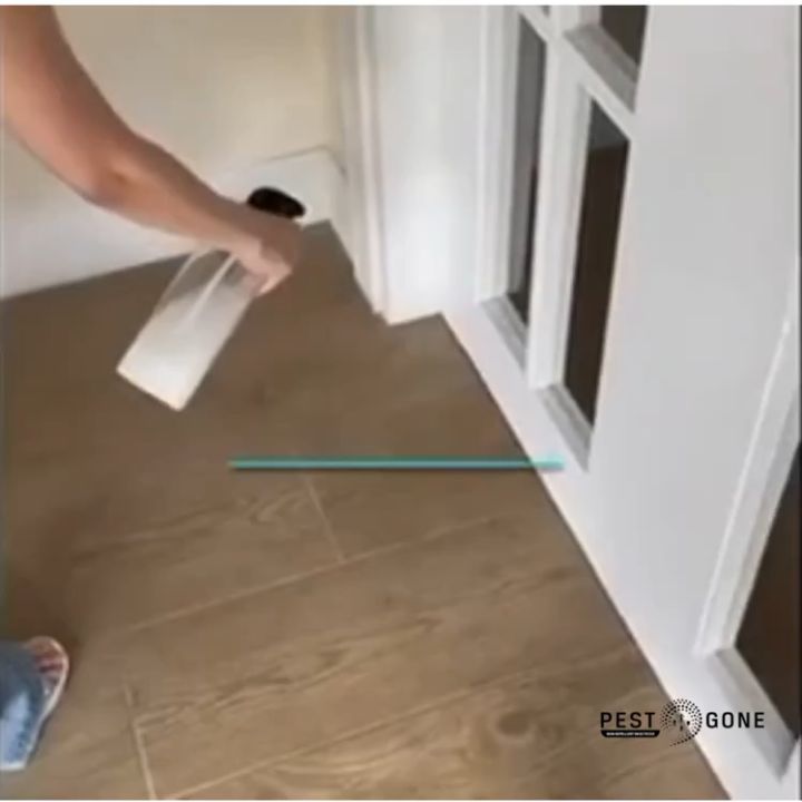 Hunter House st Gone Multi-Pests Insect Killer Spray Cockroach Ants ...