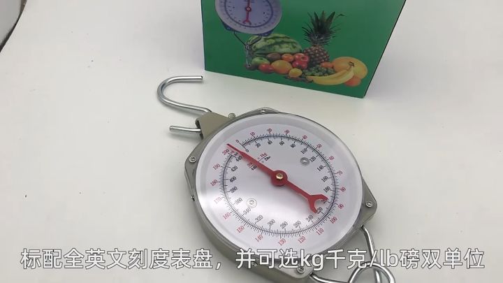 [Ready Stock]Spring Hanging Scale Hook Hanging Scale/spring Hanging ...