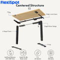 FlexiSpot E2 Standing Desk Height Adjustable Table Single Motor Ergonomic Sit-to-Stand ...