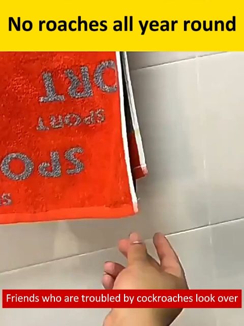 [No cockroaches 50 years] 2025 NEW cockroaches repellent 150g German ...