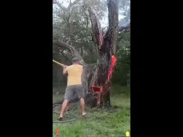 Effective weed control 500g herbicide Removing big trees and bamboo Red ...