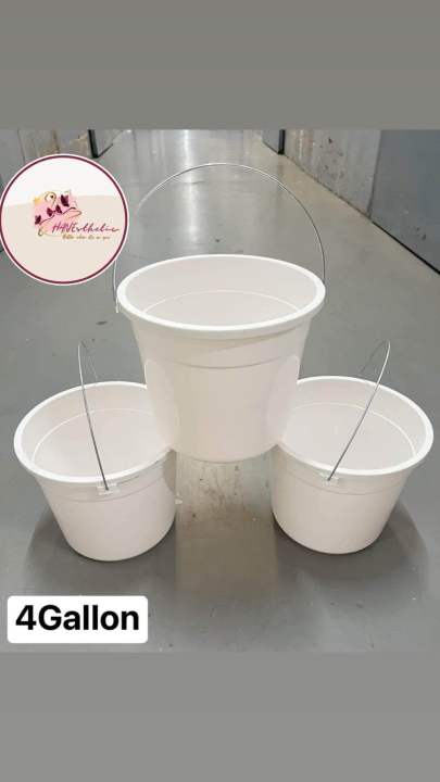 HANEsthetic 4 GALLON WHITE TIMBA | Lazada PH