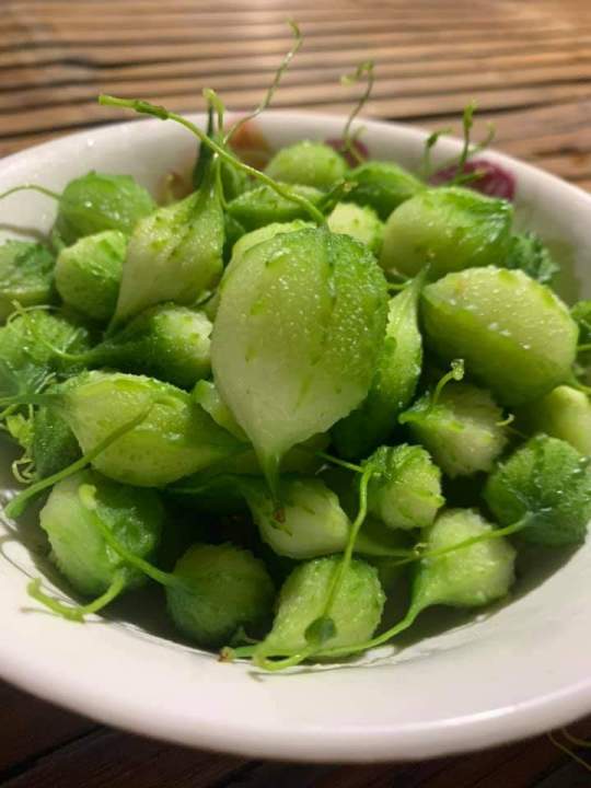 Wild ampalaya seeds(10seeds) Ampalayang ligaw | Lazada PH