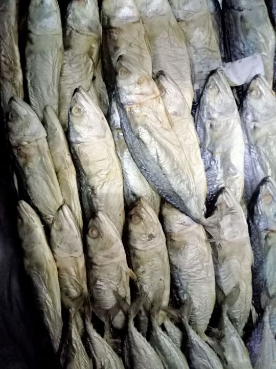 ikan asin gembung 1 kg | Lazada