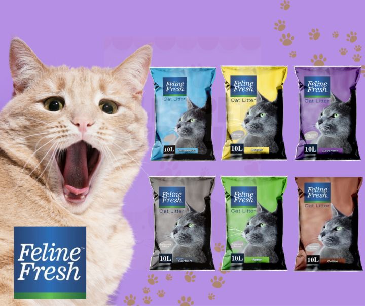 Feline Fresh Cat Litter Sand 10L | Lazada PH